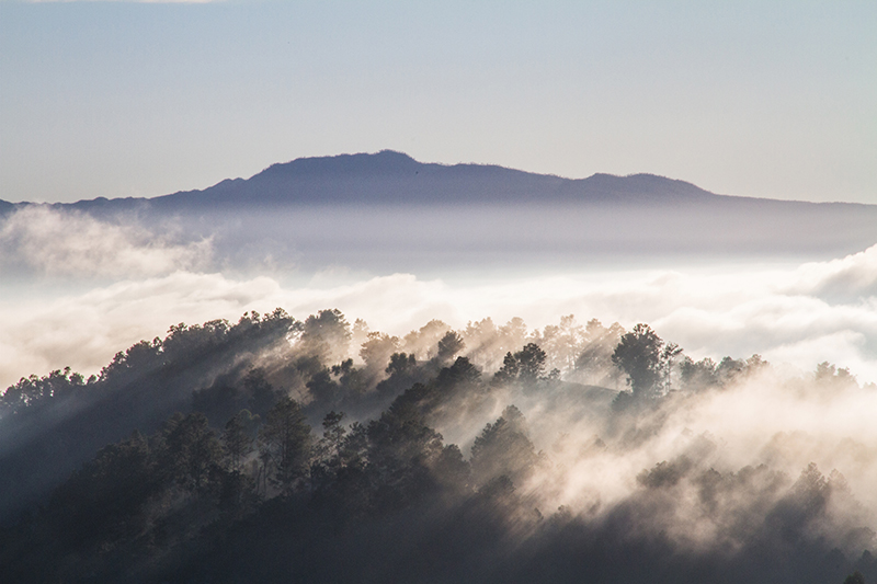 Photographer Journal: The environment in Kenscoff, Haiti