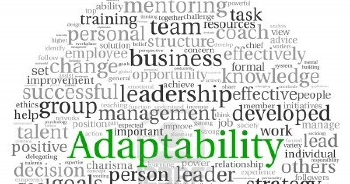 Ismail IT Fundamental : Explain why adaptability and interpersonal ...