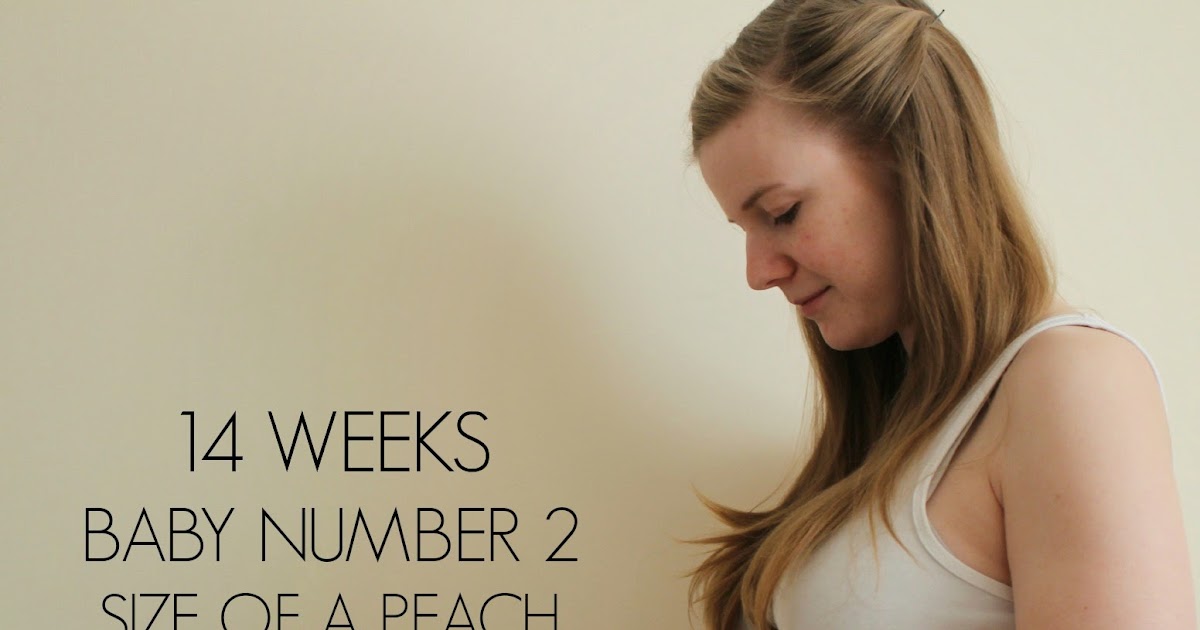 14 Week Pregnancy Update | Baby #2 | Emily and Indiana