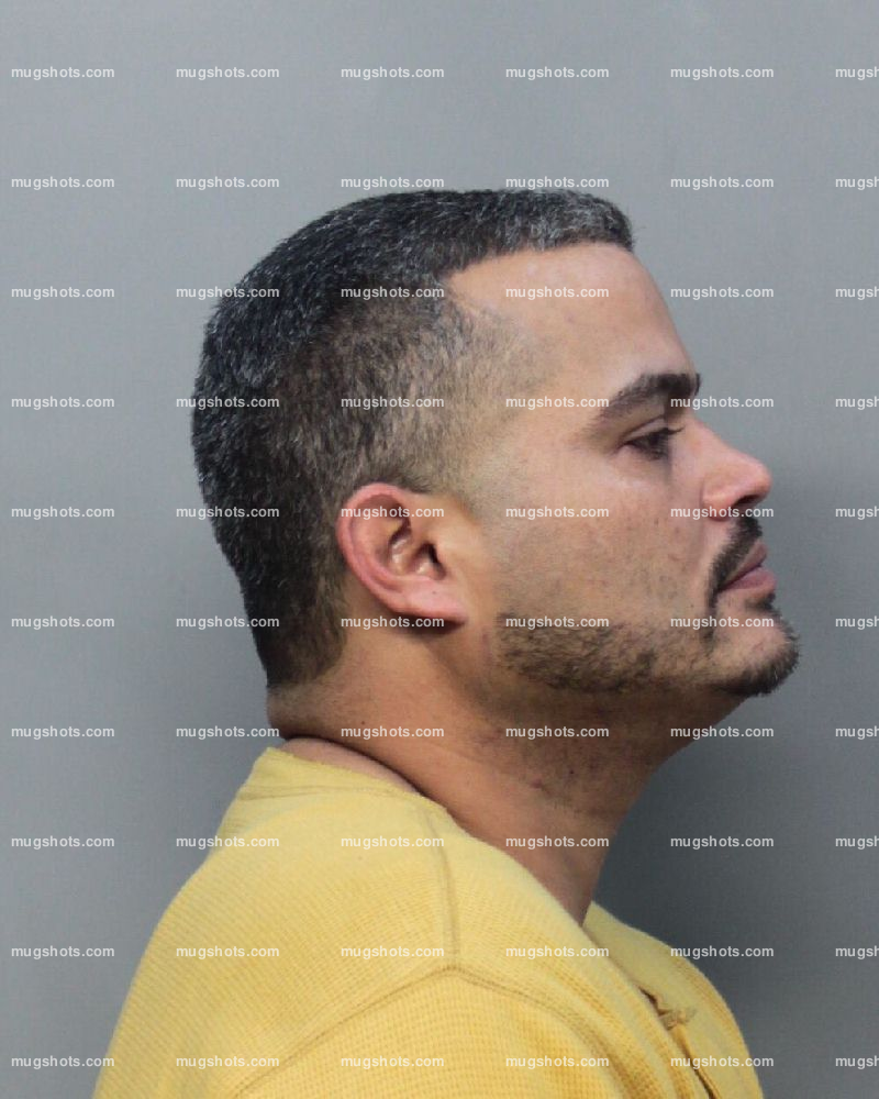 Miami Dade Florida Mugshots: Mugshot Michael Malave