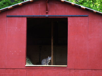 5 Acres & A Dream: Hayloft Doors (with Barn Quilt)