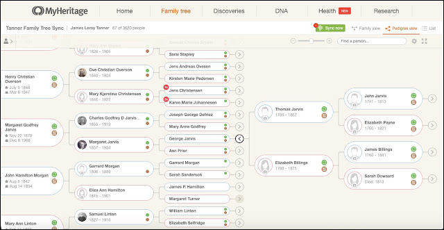 Genealogy's Star: Understanding MyHeritage's Record Matching Technology