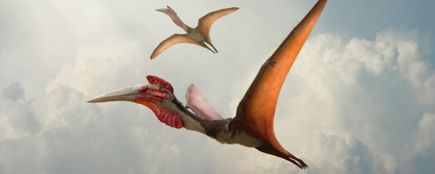 Raptormaniacs: Dinosaurs in the Wild