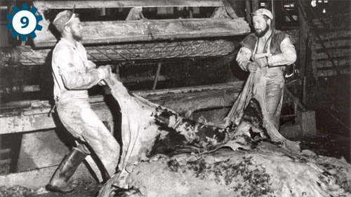 Go-Repairs Blog: 11 Grossest Jobs In History