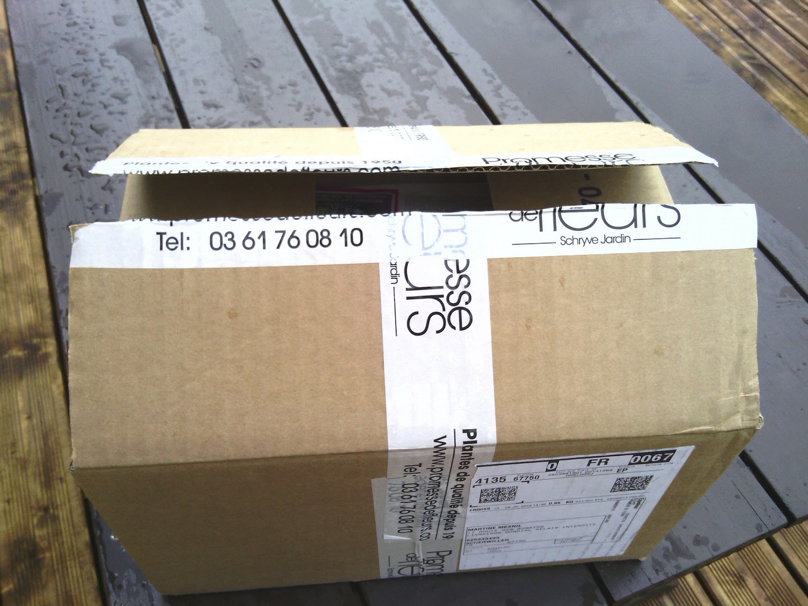 Jardin-Alsace-Vignoble: Les plantes de PROMESSE DE FLEURS