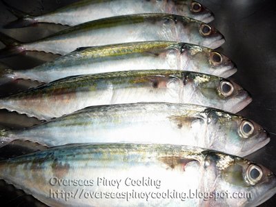 Simple Pleasures: Seafood : Alumahan (Mackerel)
