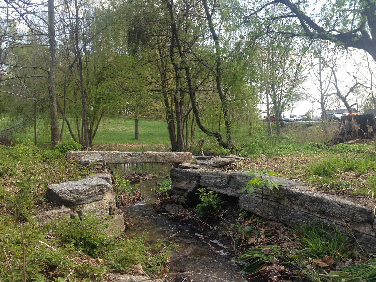 PHILLY TREES: THE PHILADELPHIA PALIMPSEST