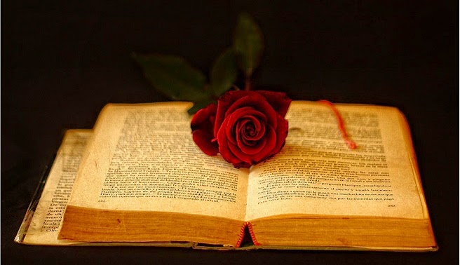 Parole di Roma: Entre libros y rosas