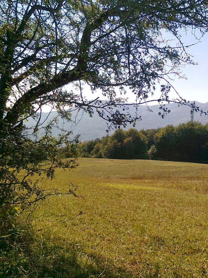 Cudesna priroda sjevera Crne Gore: DIVLJA PRIRODA - WILD NATURE