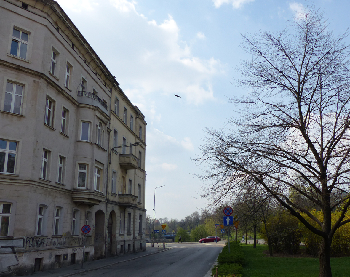 Ech Mary cha cha . Co ty robisz ?: Mary cha cha żywemu nie przepuści ...
