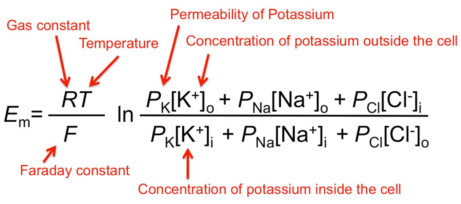 Tutor's Notes: general, cardiovascular, respiratory and renal ...