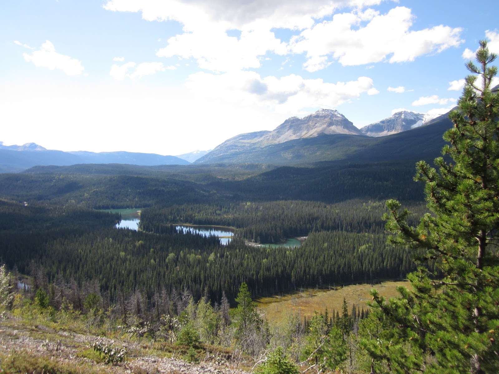 DaveFromGP: Monkman Pass Memorial Trail