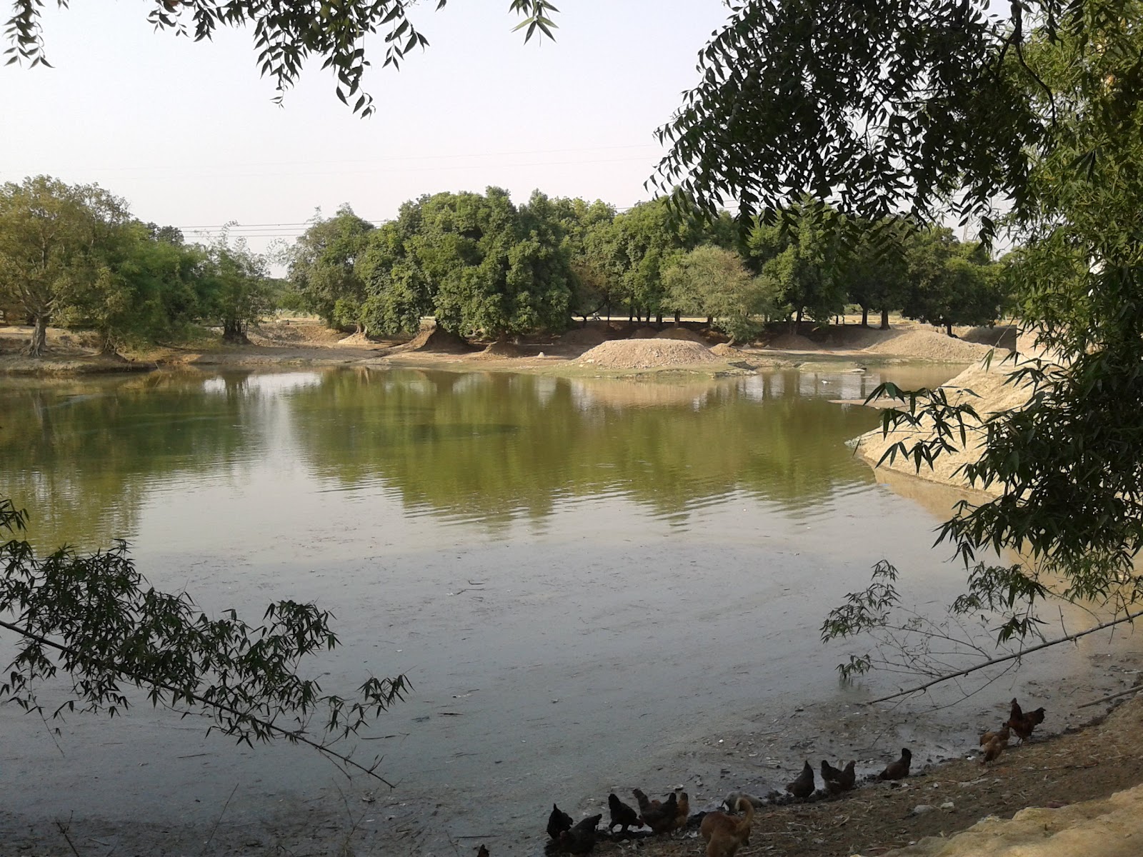 Wirasat - Pargana Chail- Allahabad: BadaGaon - Pargana Chail ( Baragaon)