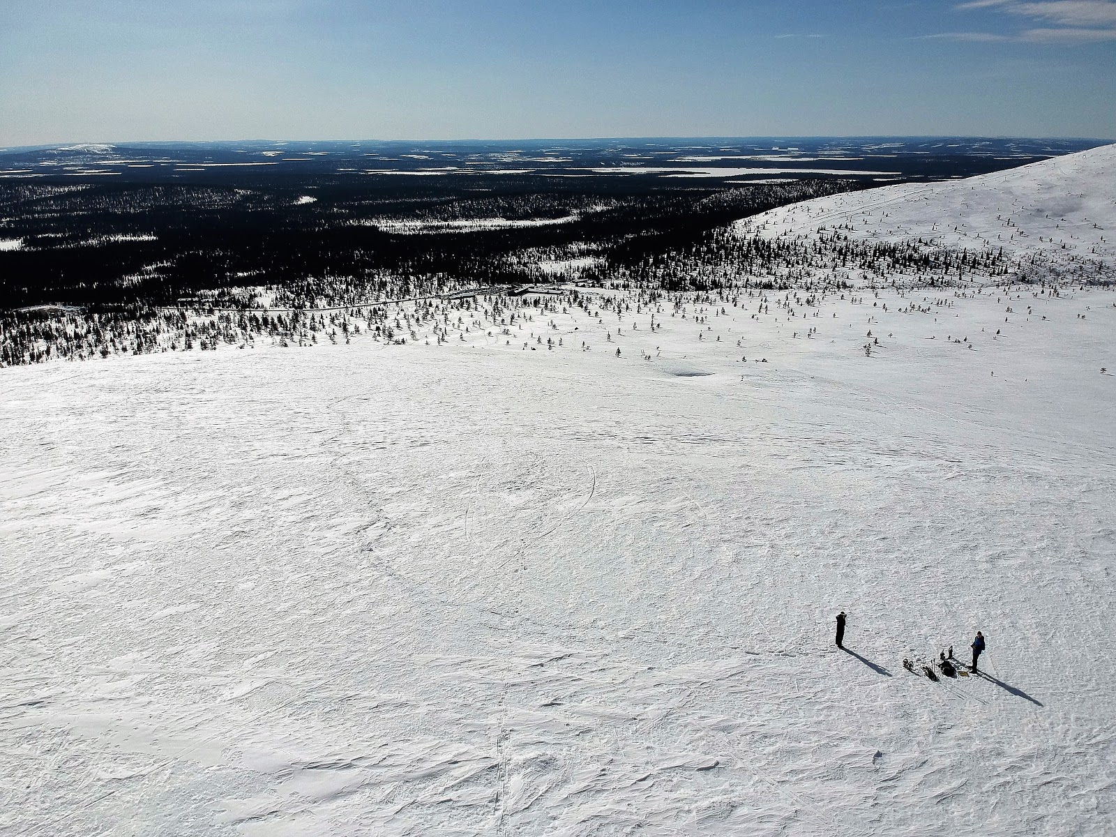 Askelmittari: Iso vaalee