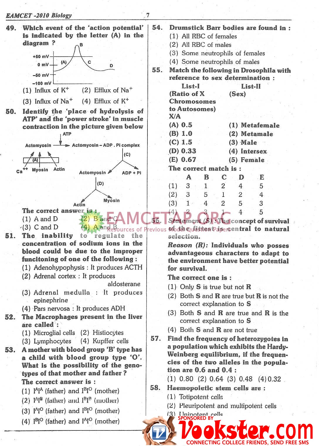 EAMCETAP 2012 - Syllabus, Model Previous Questions Papers Free Download ...