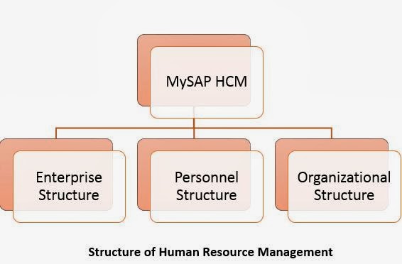 SAP HUMAN RESOURCE: Rangkuman Unit 2 Structures in Human Capital Management