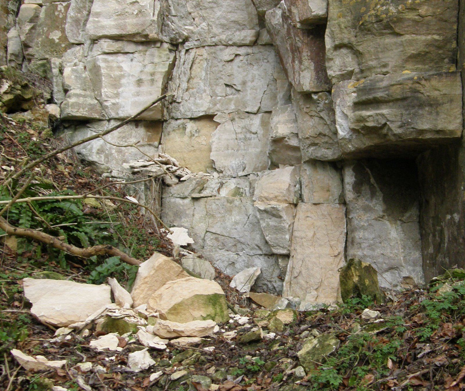 A Cotswold Year: Winter stone damage