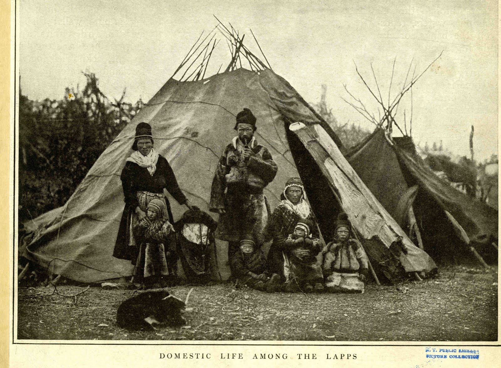 A is for Aye-Aye: An Abecedarian Adventure: A Looming Laplander Guards ...