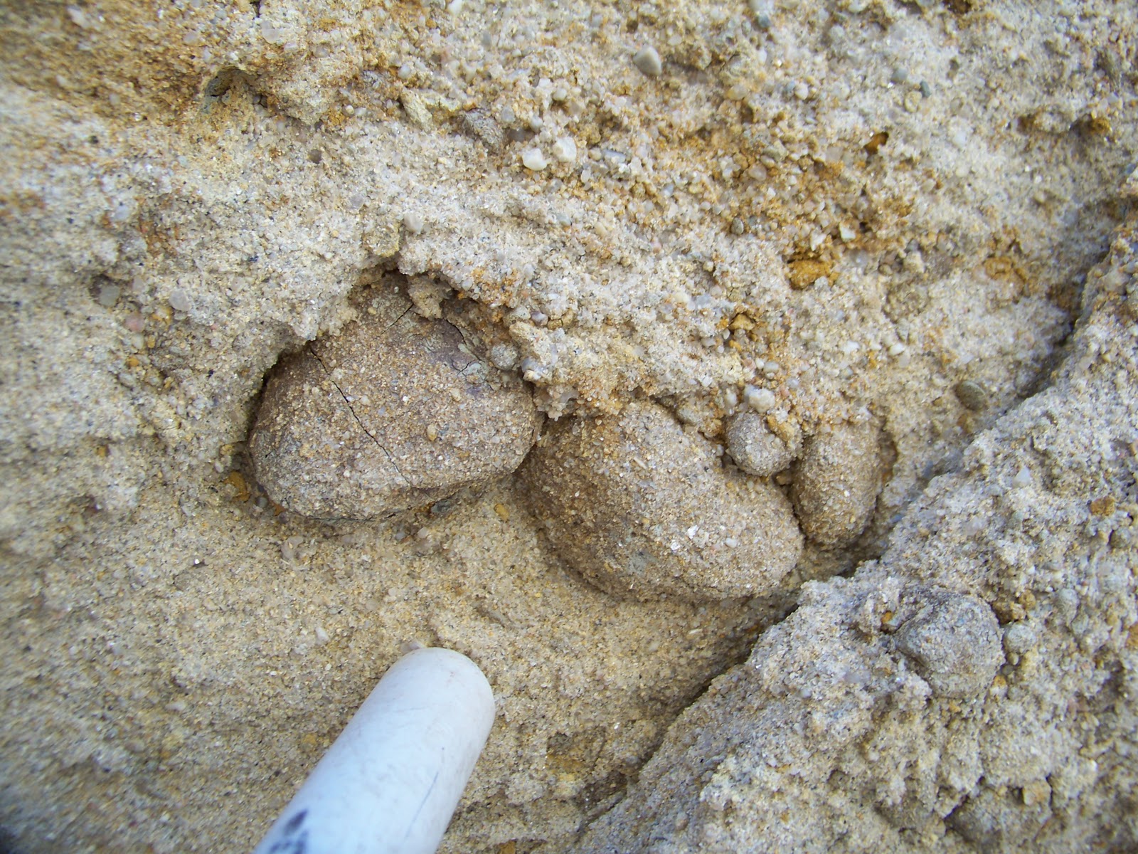 The Dynamic Earth: Armored Mudballs!