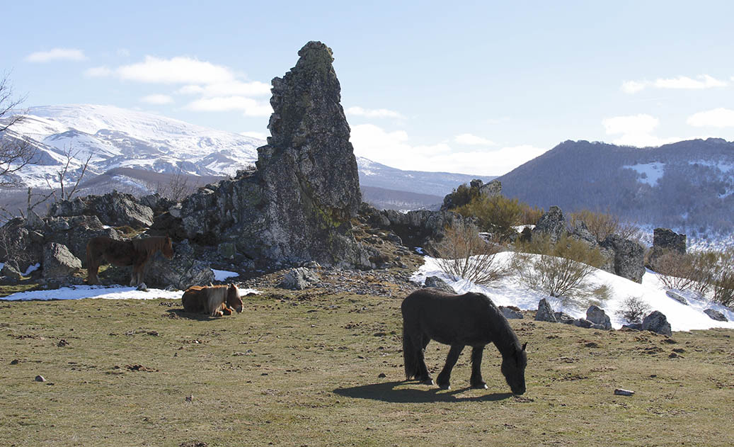Blog Alejandro Pérez García, Palencia rutas montaña palentina, bici BTT ...