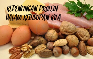 Mysihatnutrisi: KEPENTINGAN PROTEIN DALAM DIET HARIAN KITA