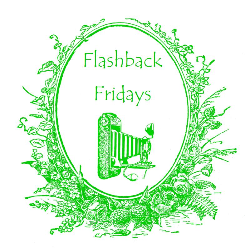 Shawkl Designs: Flashback Fridays