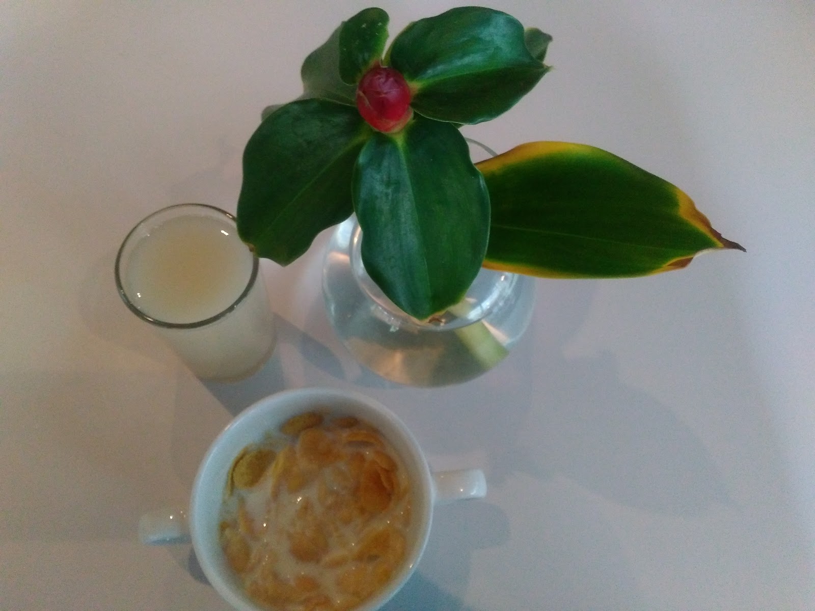 Helmia Miaphy: Ibis Budget HR Muhammad Surabaya