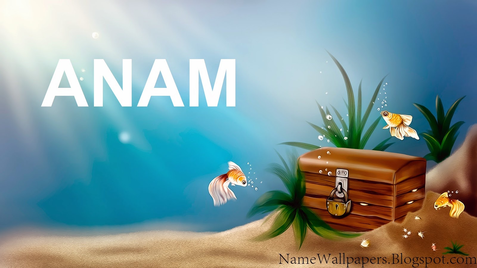 Anam Name Wallpapers Anam ~ Name Wallpaper Urdu Name Meaning Name ...