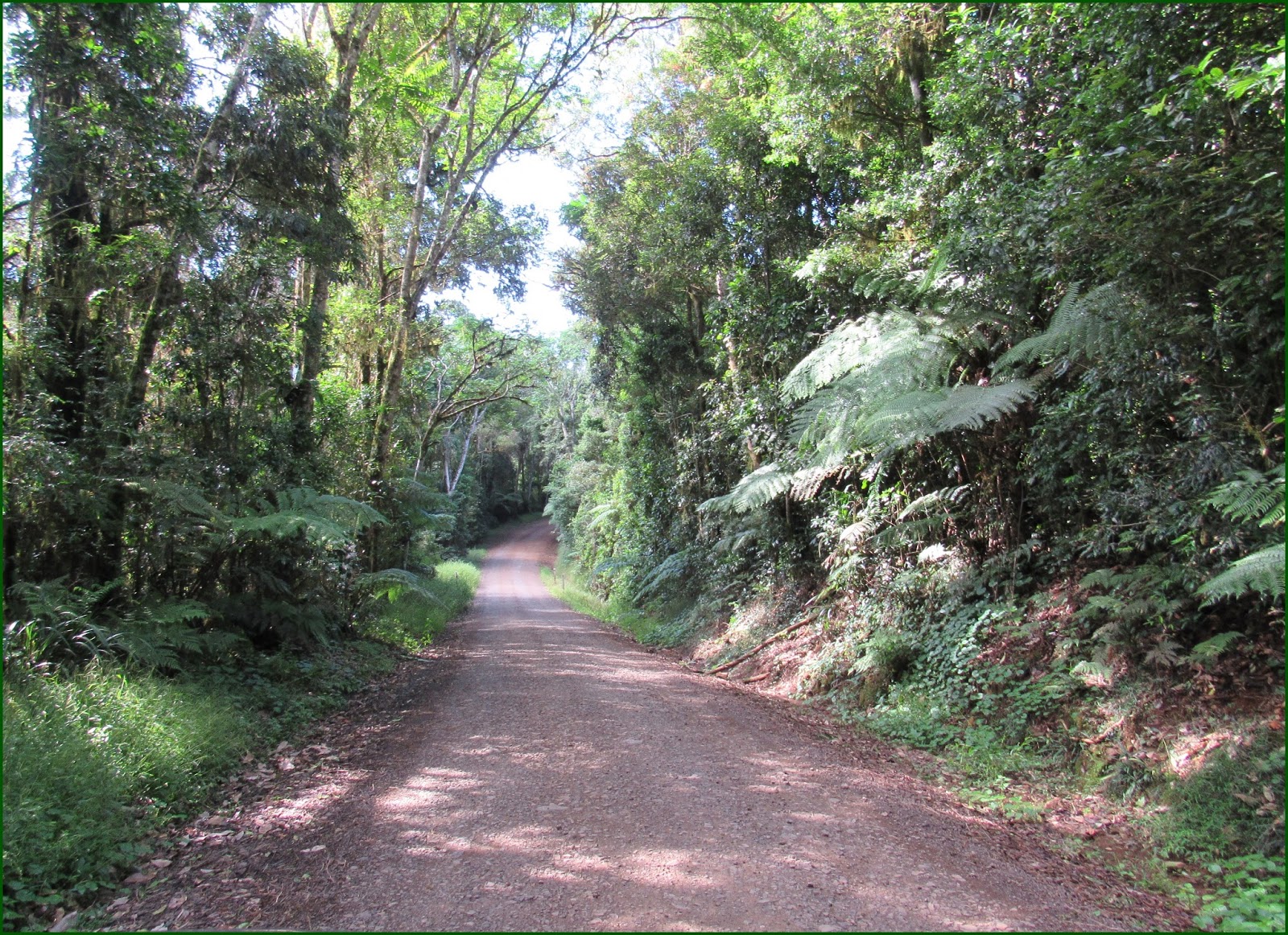 Tentworld: Touring Border Ranges National Park, NSW
