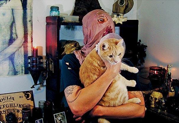 Planet Rock: Metaleros y sus gatos. Metal Cats