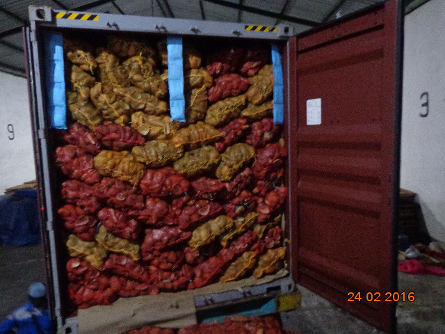 How to Stuffing your White Copra Commodity (Bagaimana cara Mengisi ...