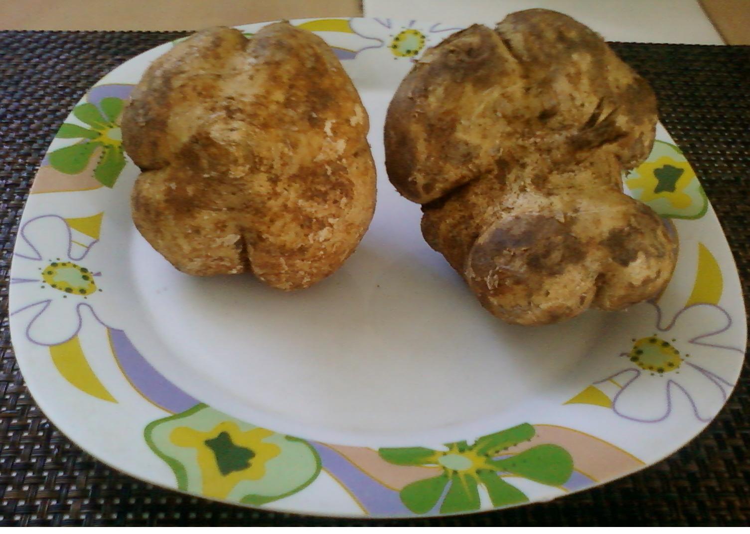 Partager avec plaisir - Recettes de cuisine faciles et idées de ...