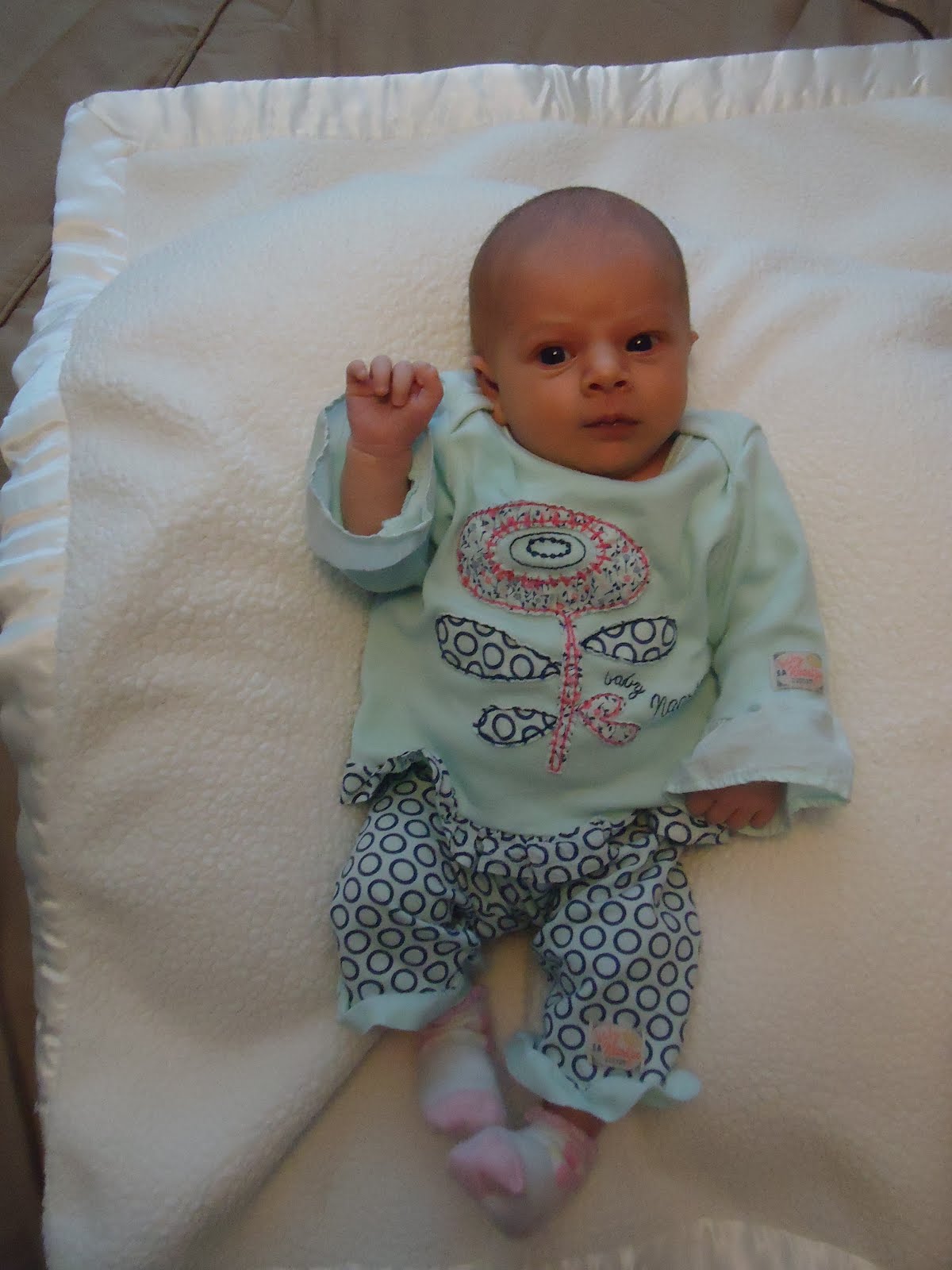 Blessed Socha Family