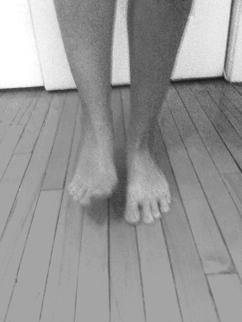 The Hip Joint: Fibularis Brevis - a lower leg muscle