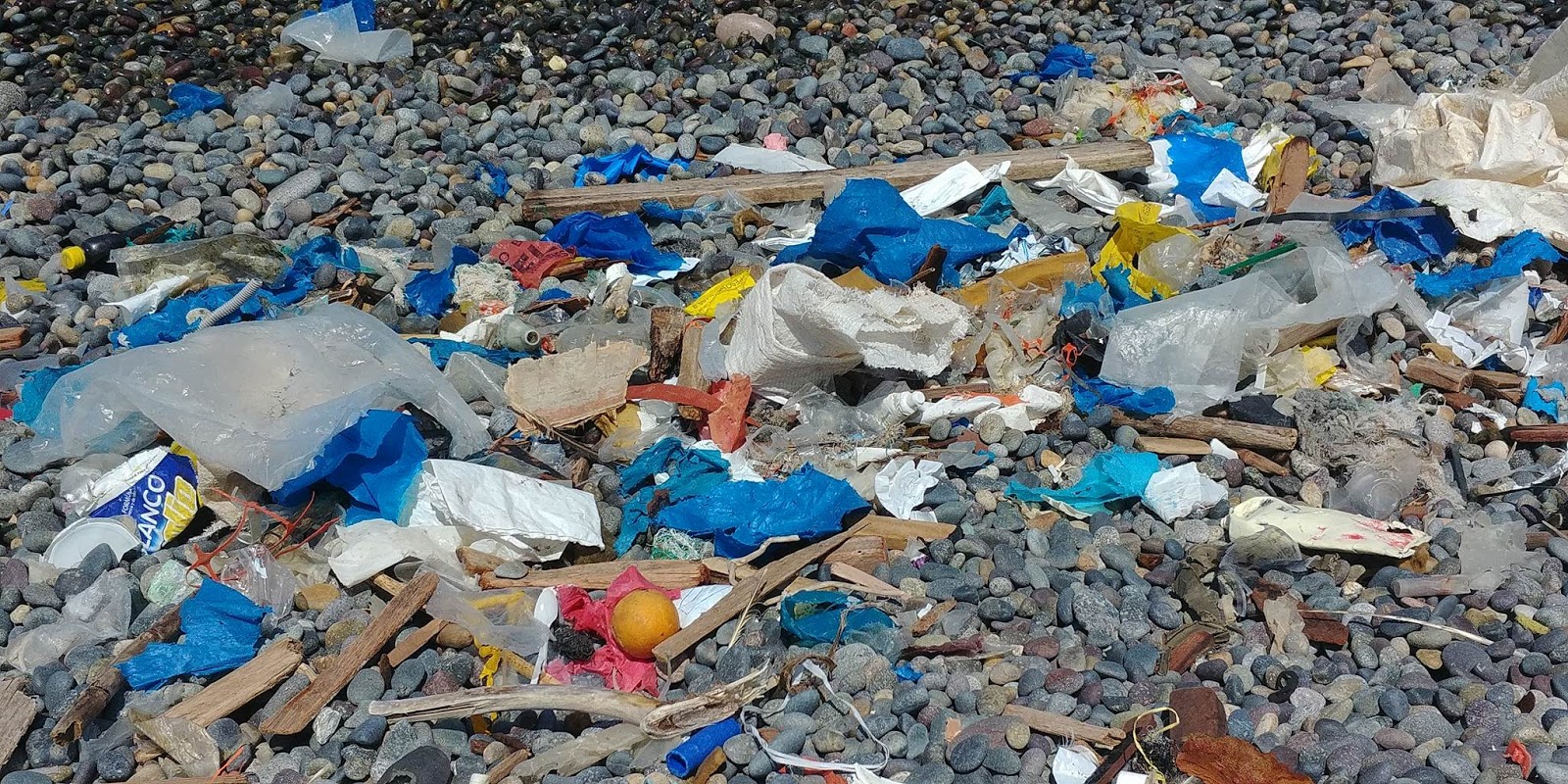 Mar Peruano con más basura marina en Sudamérica - Salud en Casa Perú