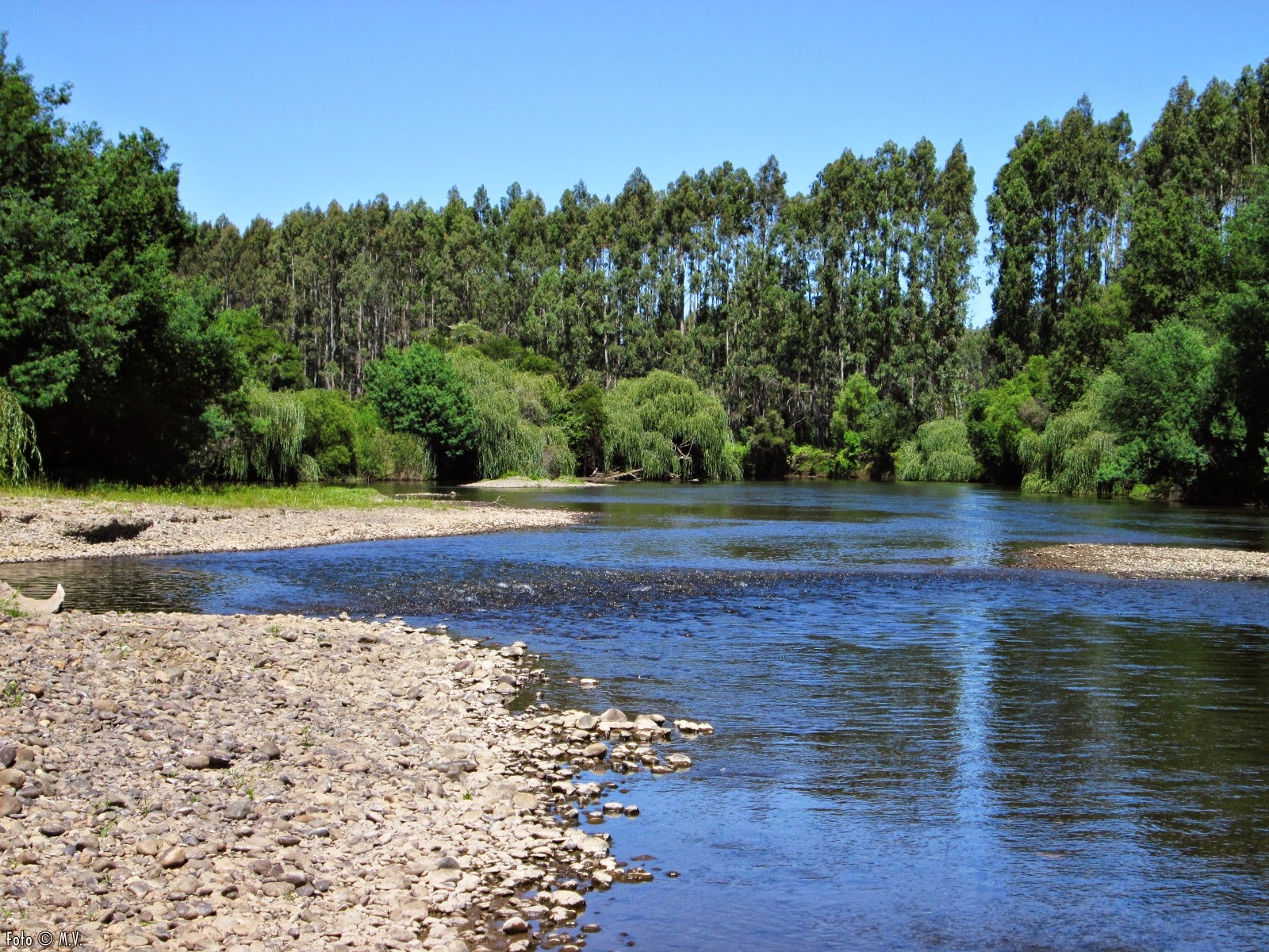 Pelchuquin Retrospectivo.: Recorrido por las playas del río Cruces en ...