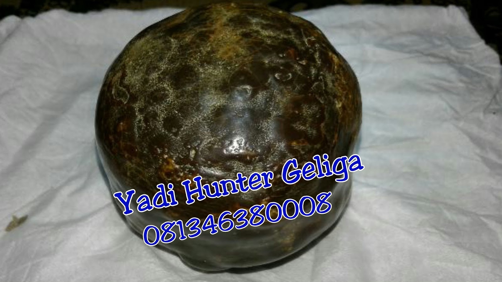 Pembeli Batu Landak ~ Pembeli Batu Landak Yadi Geliga