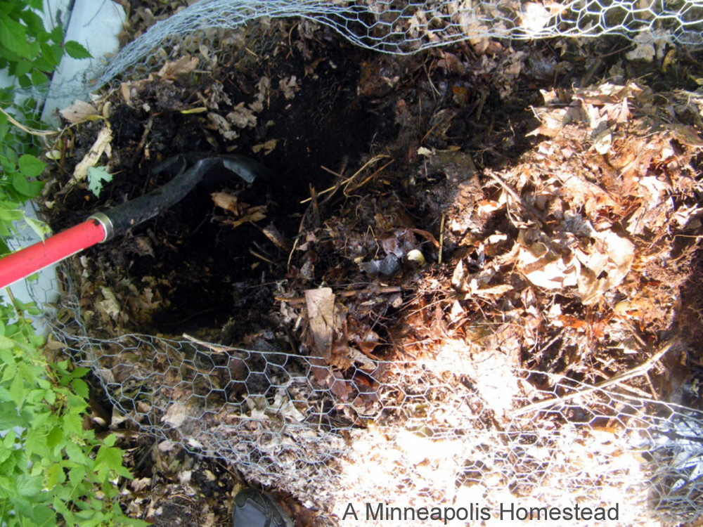 What Happens When You Don't Touch Your Compost Pile for 3 years ...