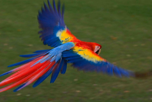 Nahual Ob'al (Aq'ab'al) Maya de Guatemala. ~ Cuentos, Chistes ...