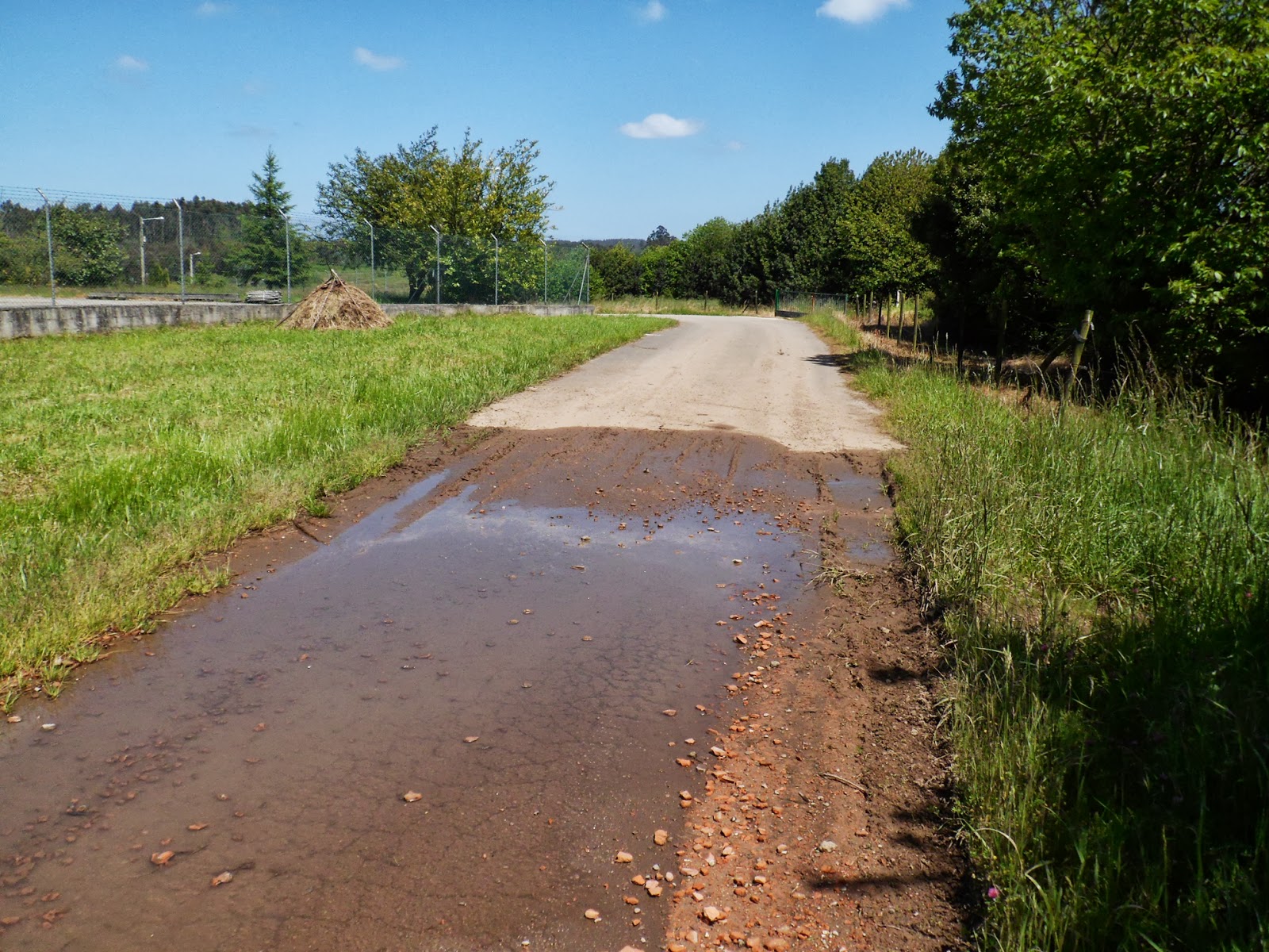 Senda BTT: Apeadero FEVE de Avilés - Embalse de Trasona - Monte'l Pando ...