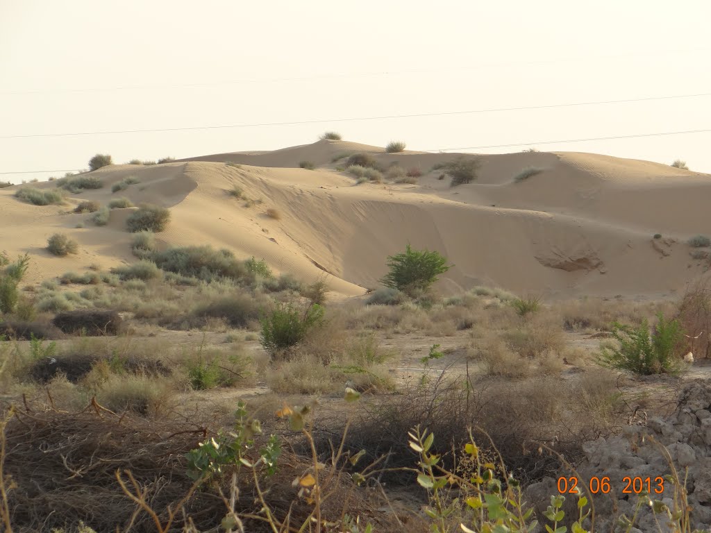 JAITASAR, SARDARSHAHAR, CHURU