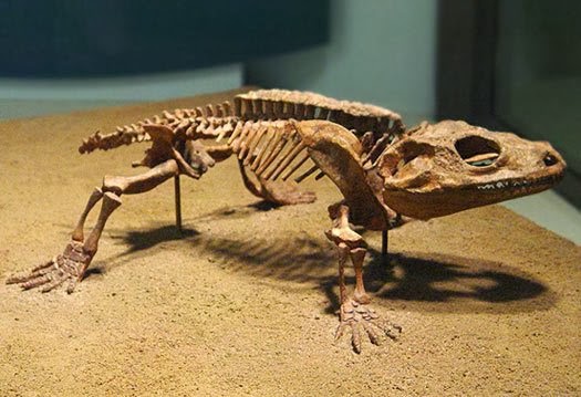 Mundo Pré-Histórico: Cacops