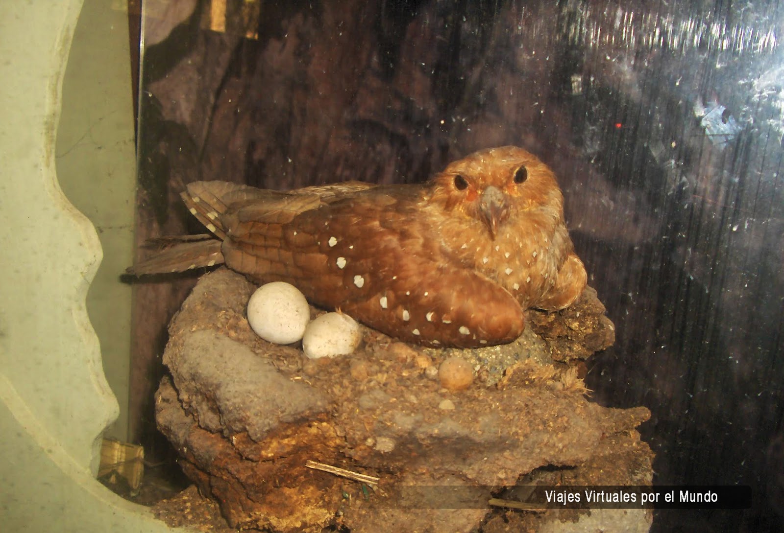 Parque nacional El Guácharo