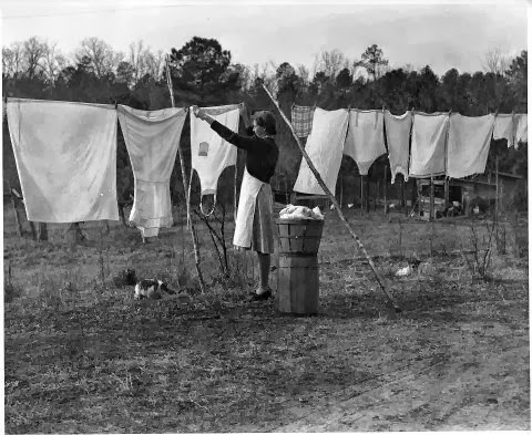 Classic American Clothespins