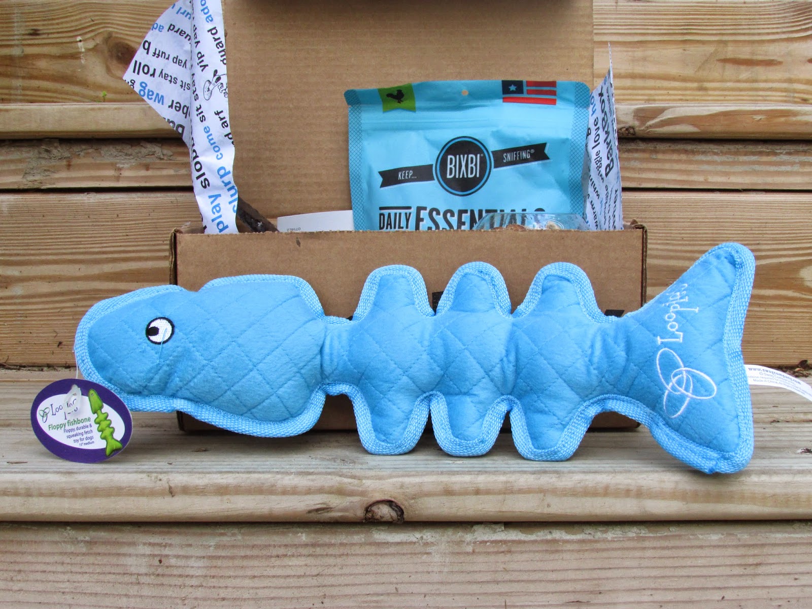 My Rotten Dogs: July 2014 BarkBox Review