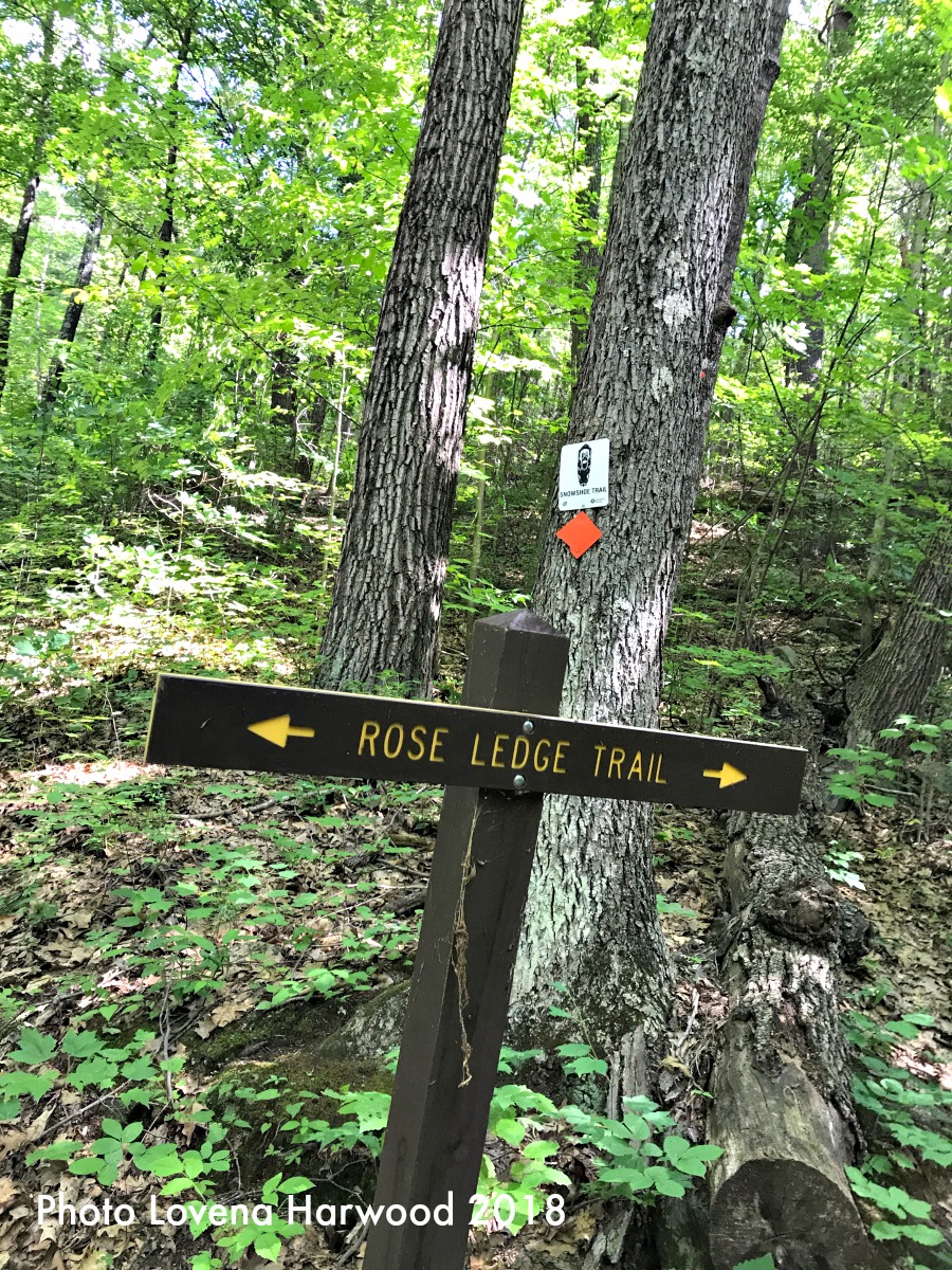 Hawaii Girl Adventures: Rose Ledge - Rock Climbing