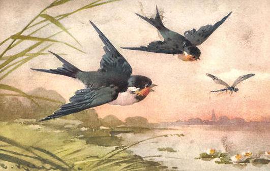 Quando il Natale era bianco... e ogni stagione aveva una storia da ...