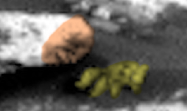 UFO SIGHTINGS DAILY: Fossilised Crab Found On Mars Near Fallen Statue ...