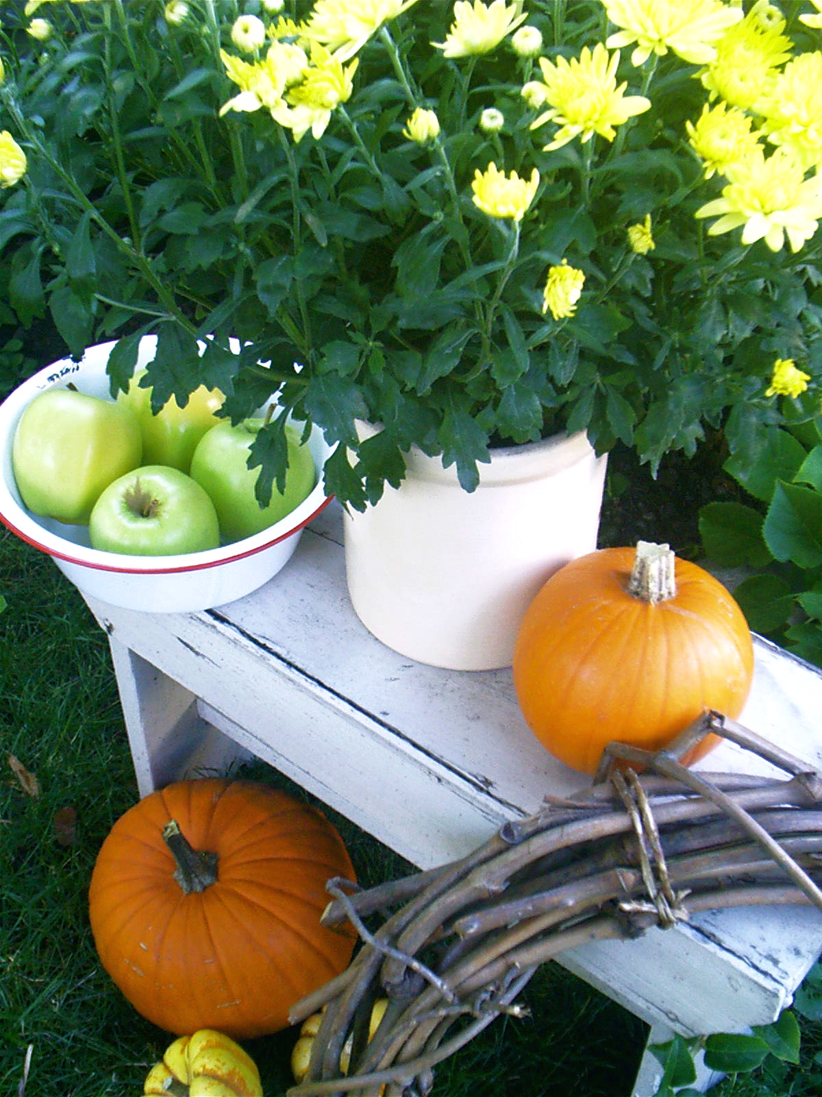 Ash Tree Cottage: The Cozy Days of Autumn