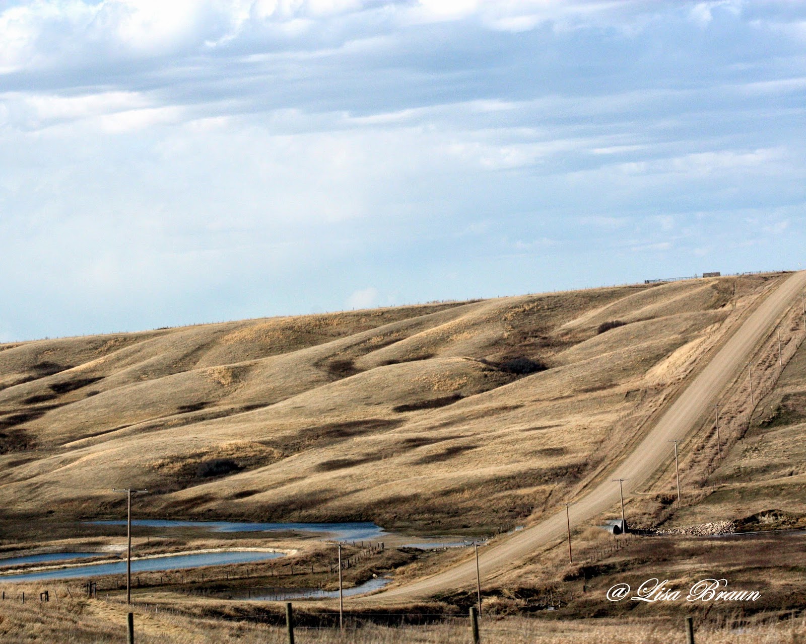 Photography by Lisa: 2016 Barren Beauty of the Saskatchewan Prairie Scenes
